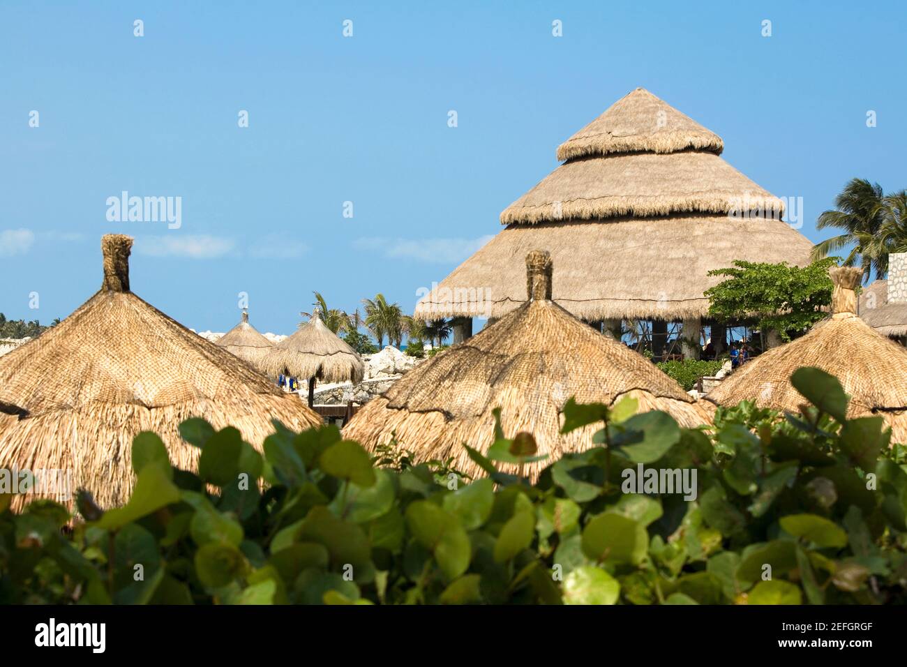 High section view of thatched roofs, Cancun, Mexico Stock Photo - Alamy