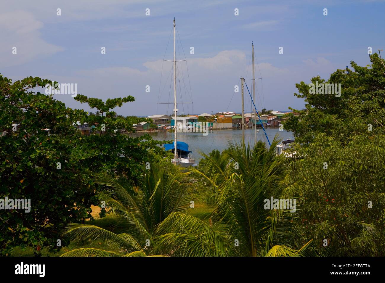 Boat docked at a harbor, French Harbour, Rotan, Bay Islands, Honduras ...