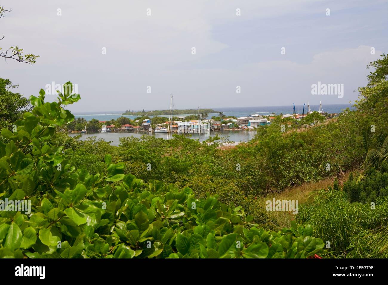 Buildings at a harbor, French Harbour, Roatan, Bay Islands, Honduras ...
