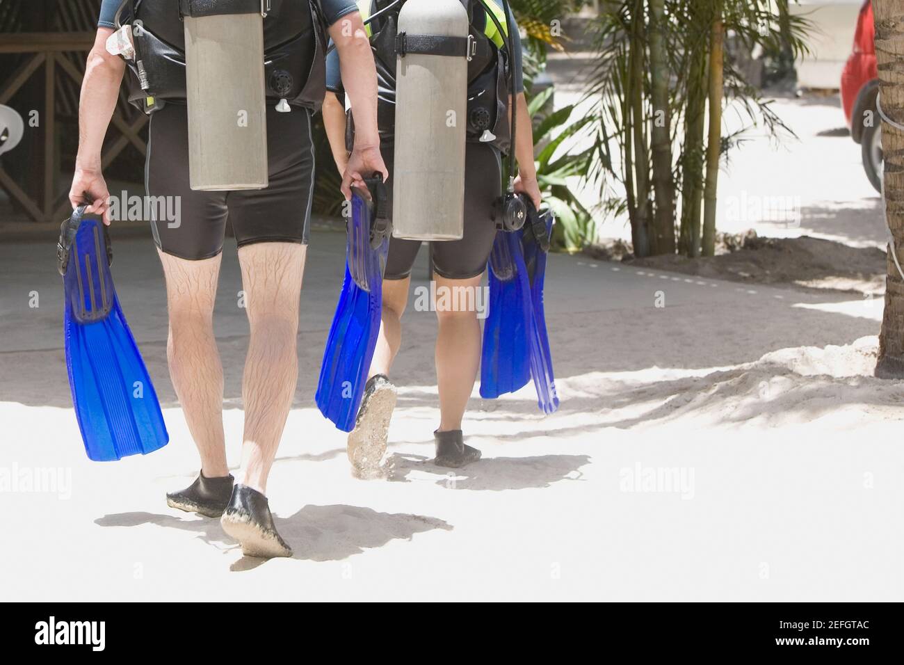 Rear view of two scuba divers walking on the beach, Honduras Stock ...