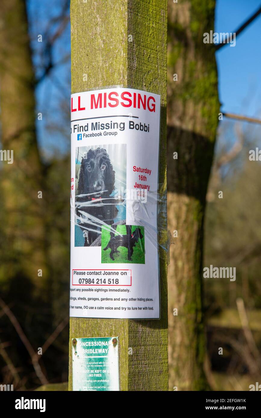 Missing dog sign on a footpath sign, Chipping, Preston, Lancashire. UK ...