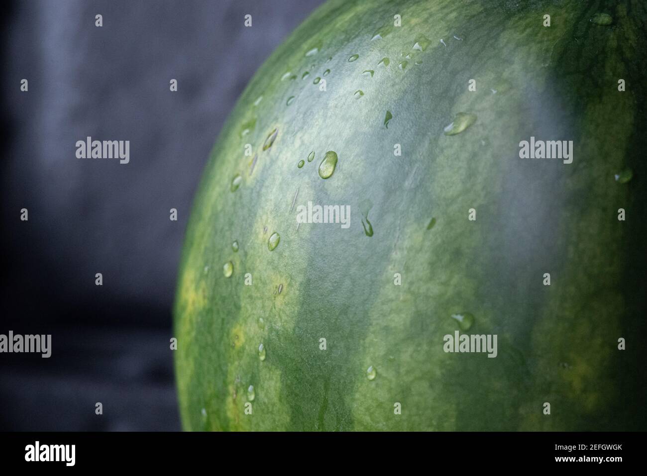 Watermelon based hi-res stock photography and images - Alamy