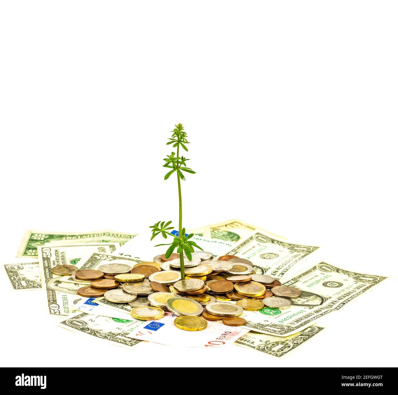 Nature stock image from Cut Out Stock Images & Pictures - Alamy