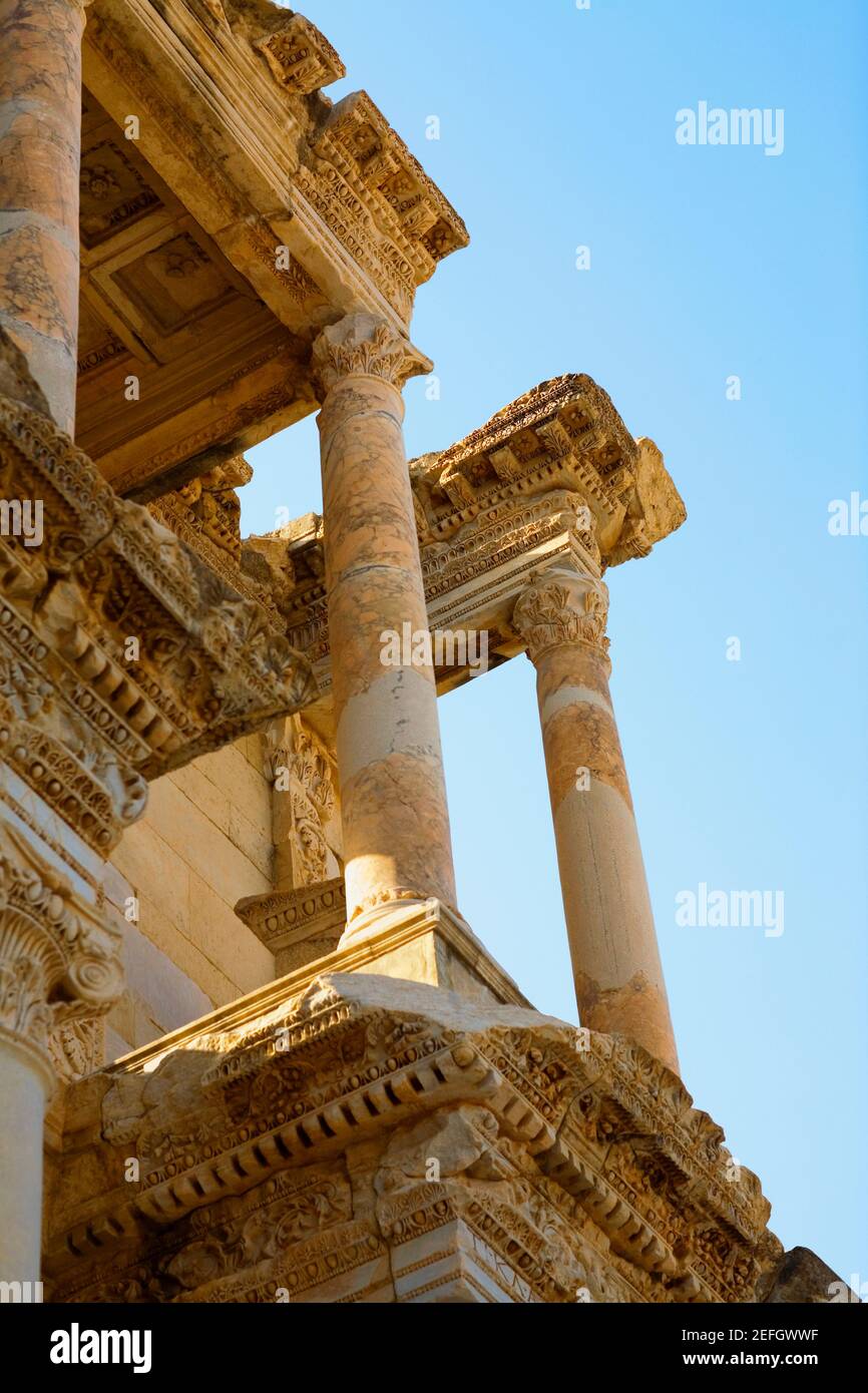 Man library turkey hi-res stock photography and images - Alamy