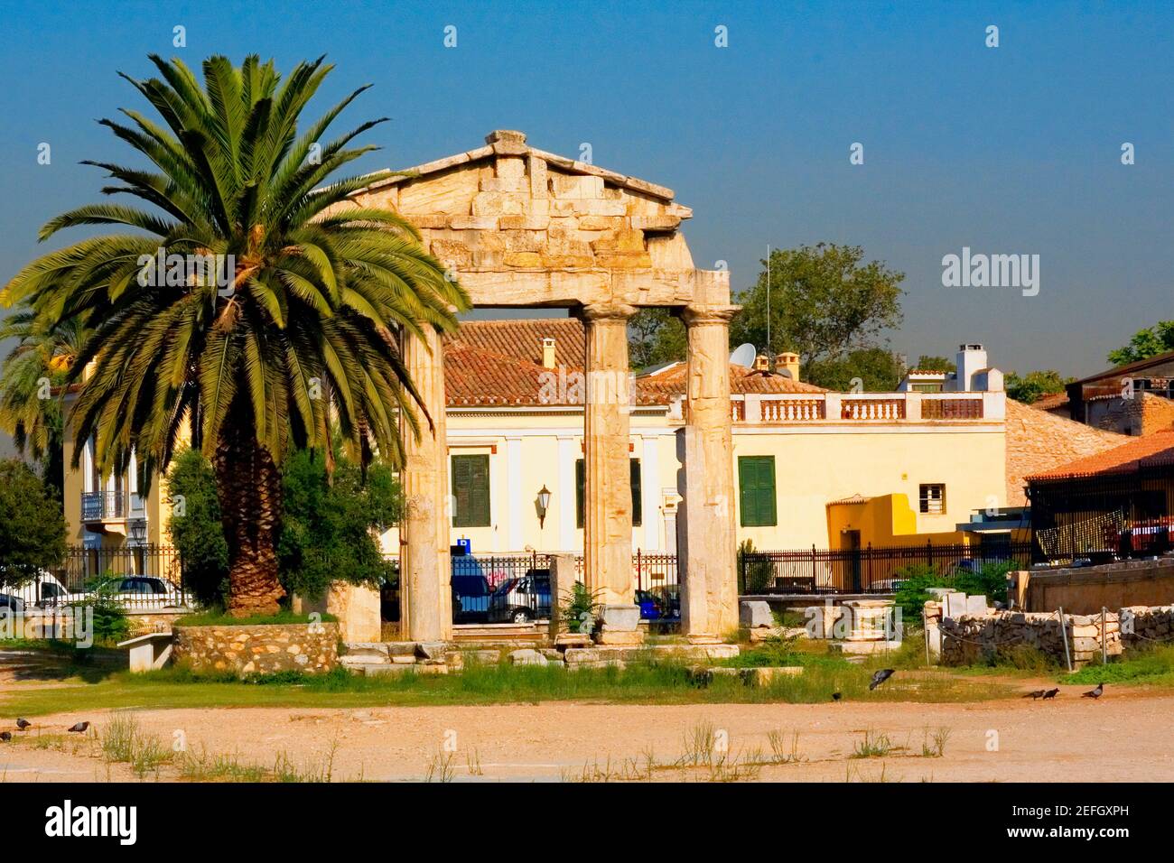 Palm tree in ancient roman hi-res stock photography and images - Alamy