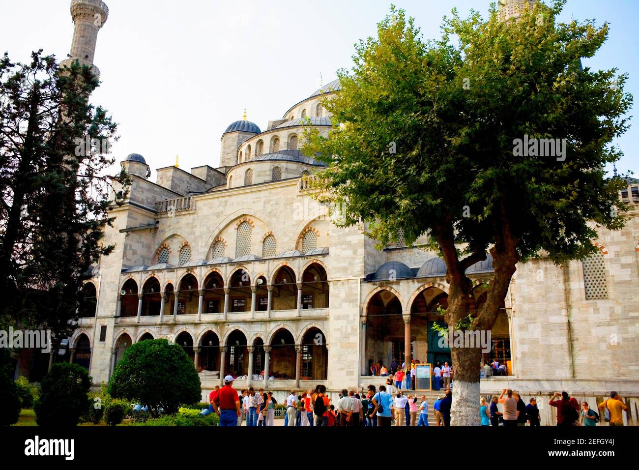 Blue mosque front view hi-res stock photography and images - Alamy