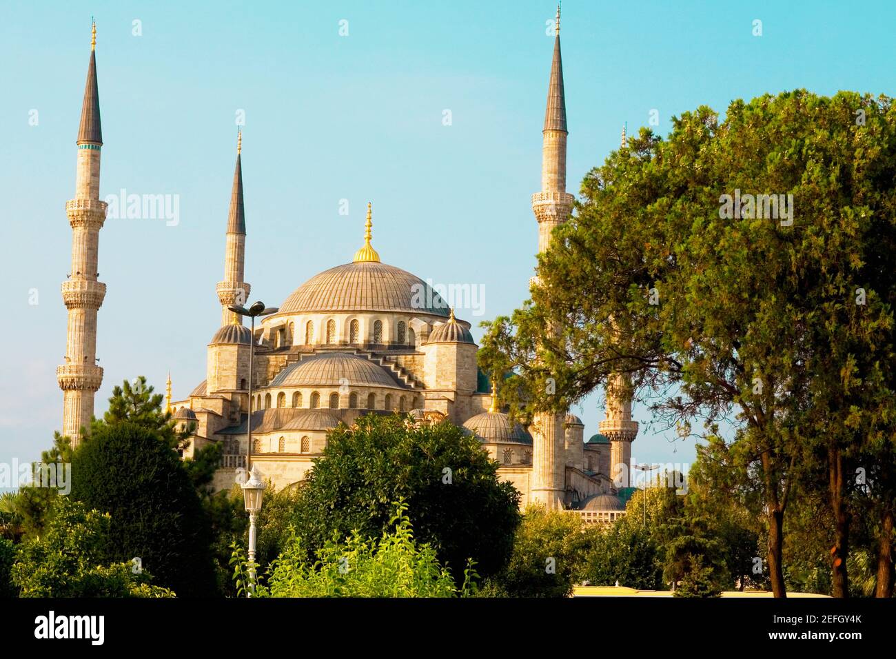 Trees near a mosque, Blue Mosque, Istanbul, Turkey Stock Photo - Alamy