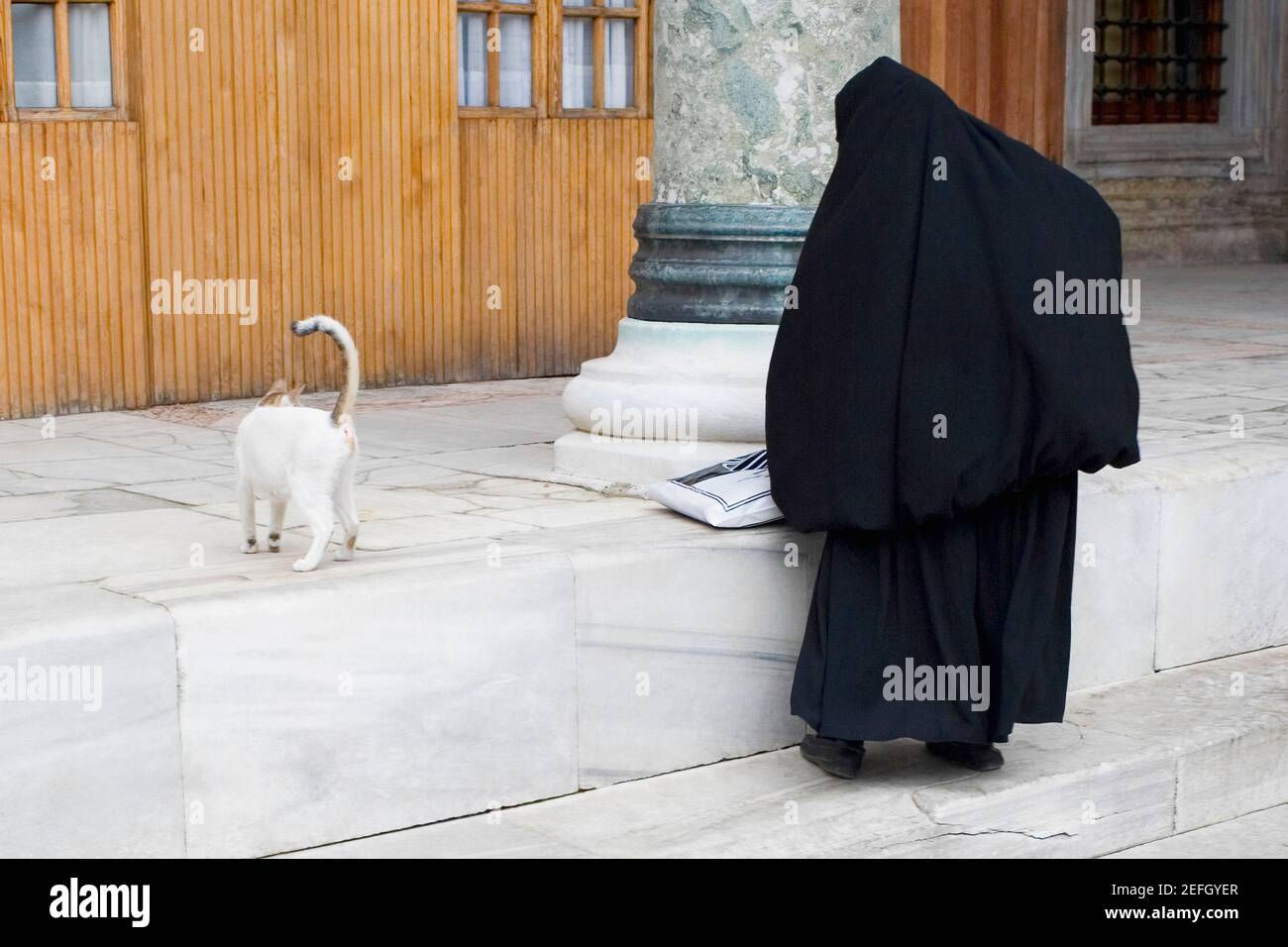 Rear view of a Muslim woman in hijab standing with a cat, Istanbul ...