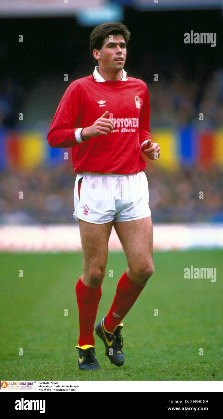 Neil webb nottingham forest hi-res stock photography and images - Alamy