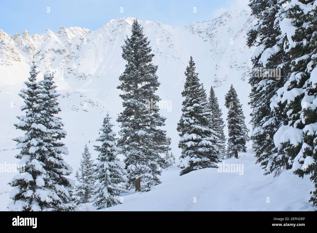 Winter Scenery at High Elevation Stock Photo - Alamy