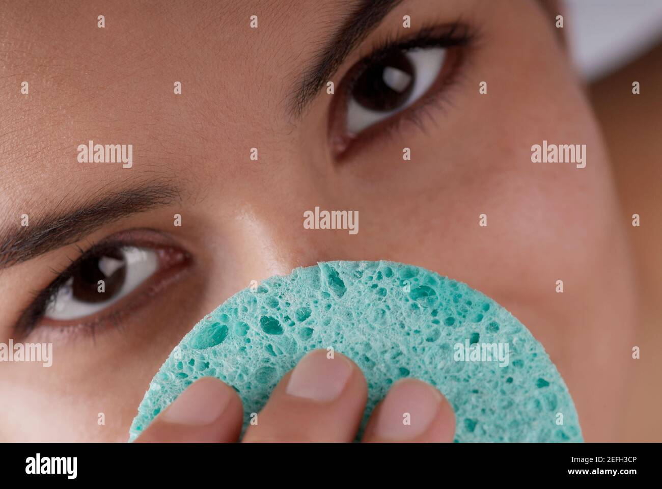 Sponge clean only hi-res stock photography and images - Alamy