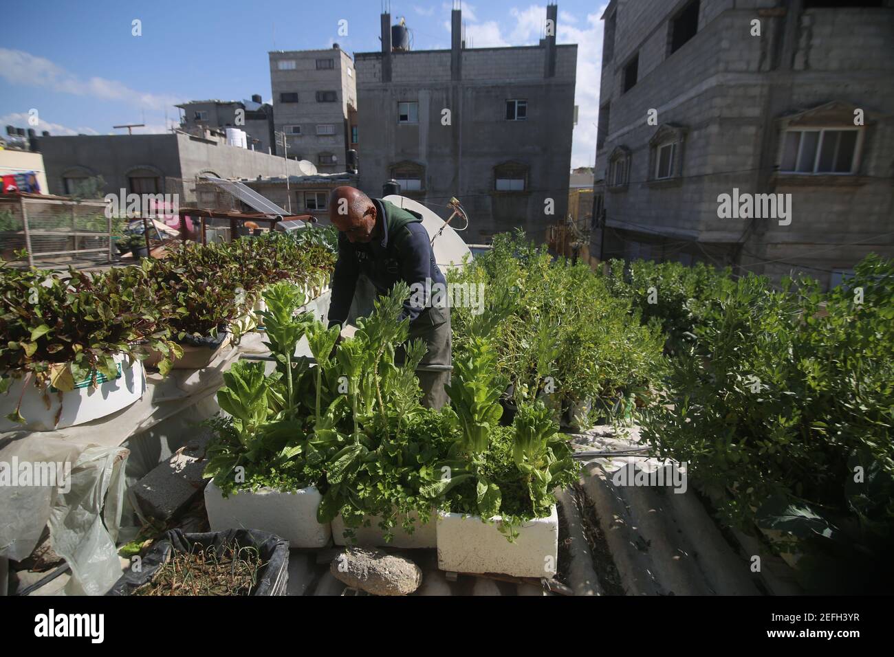 Palestinian vegetable market hi-res stock photography and images - Alamy