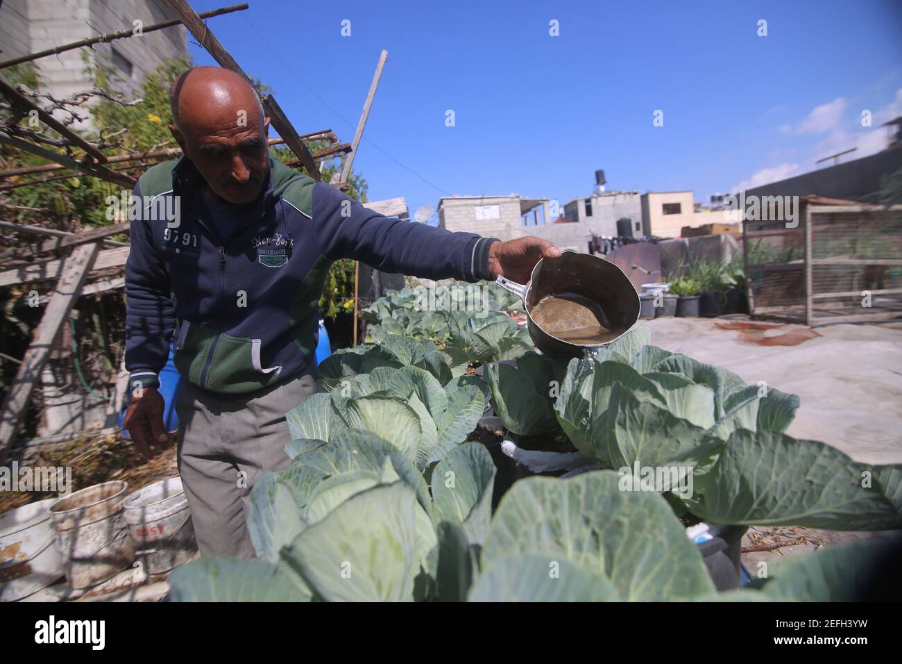 Gaza. 17th Feb, 2021. Palestinian Tayseer Abu Dan waters the plants at ...