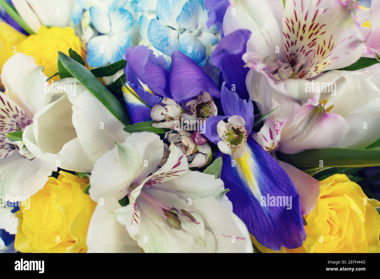 floral color mix background with selective focus Stock Photo - Alamy