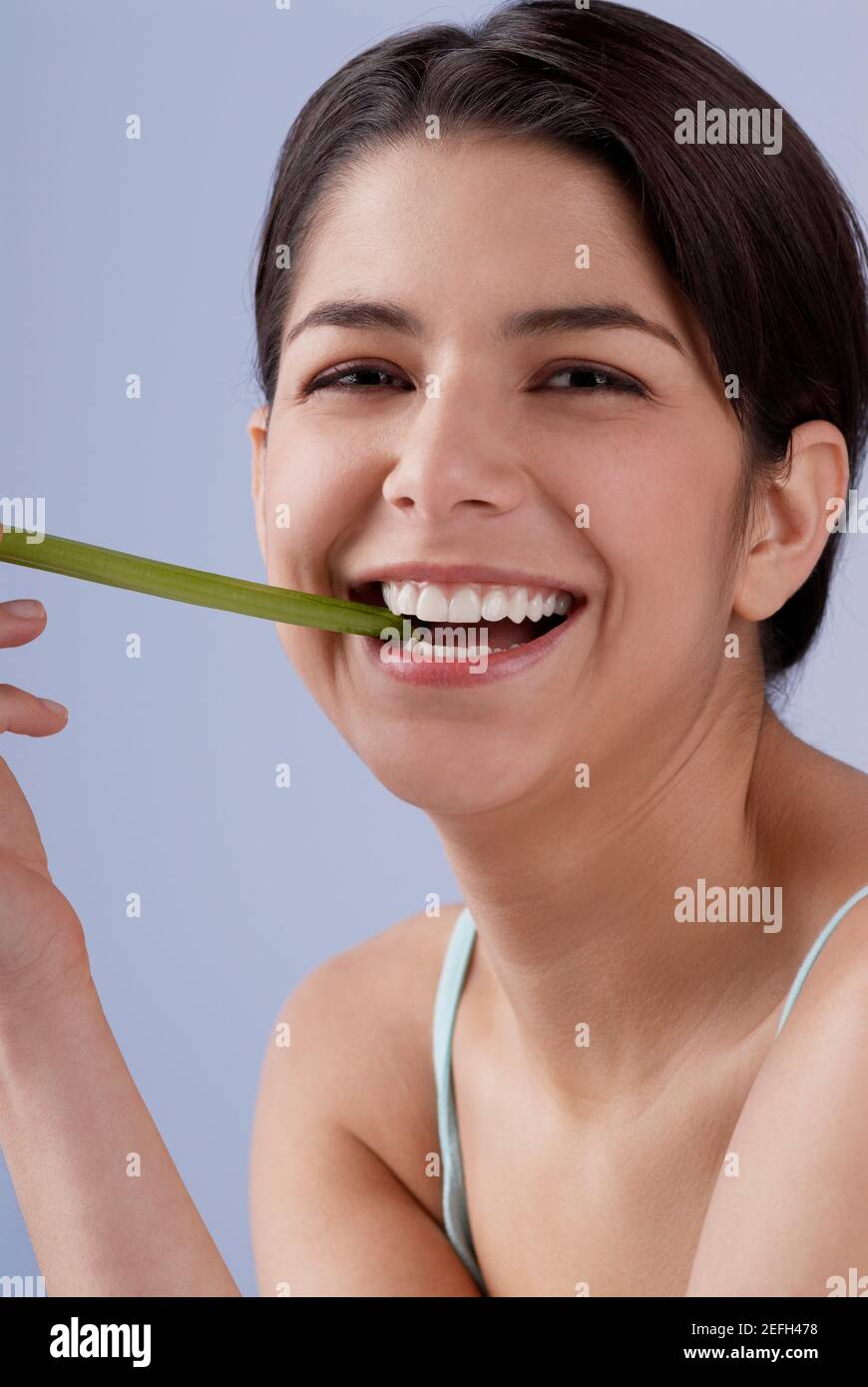 24 stick hi-res stock photography and images - Alamy