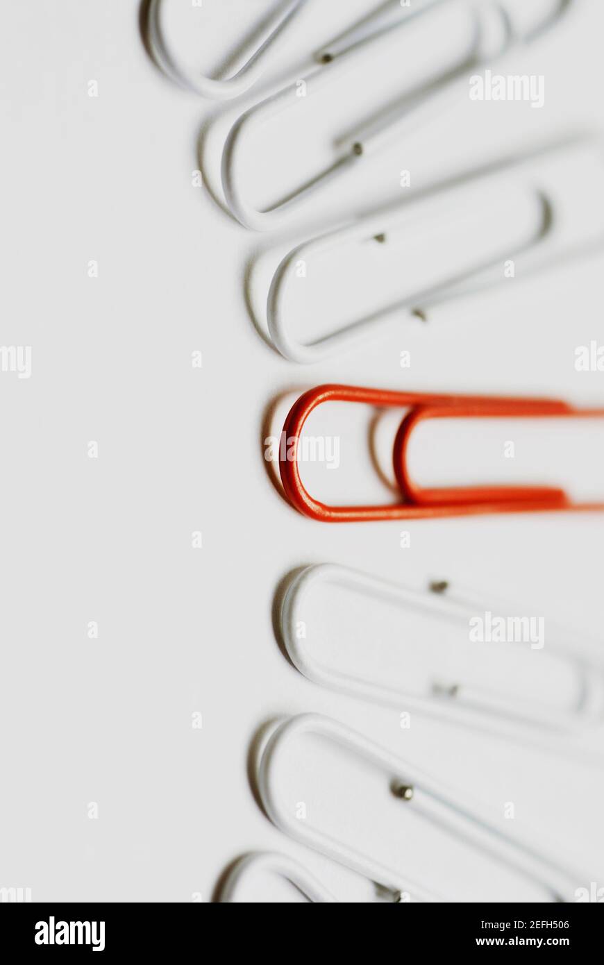 Group paper clips in hi-res stock photography and images - Alamy