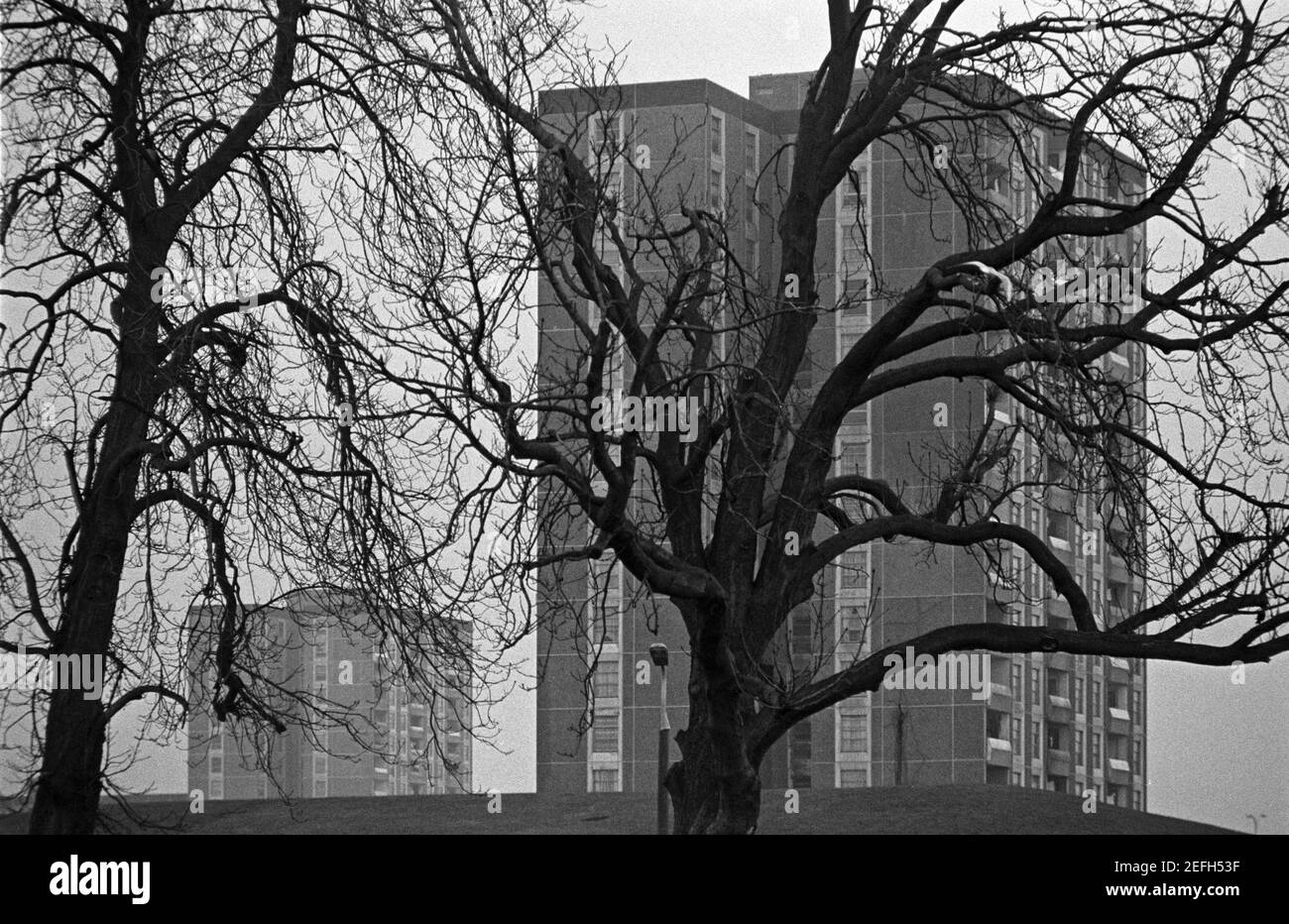 Tower Blocks, Ballymun, January 1986, Dublin, Republic of Ireland Stock ...