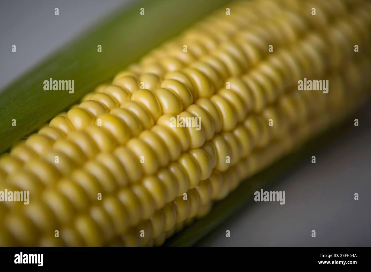 Corncob leaf hi-res stock photography and images - Alamy