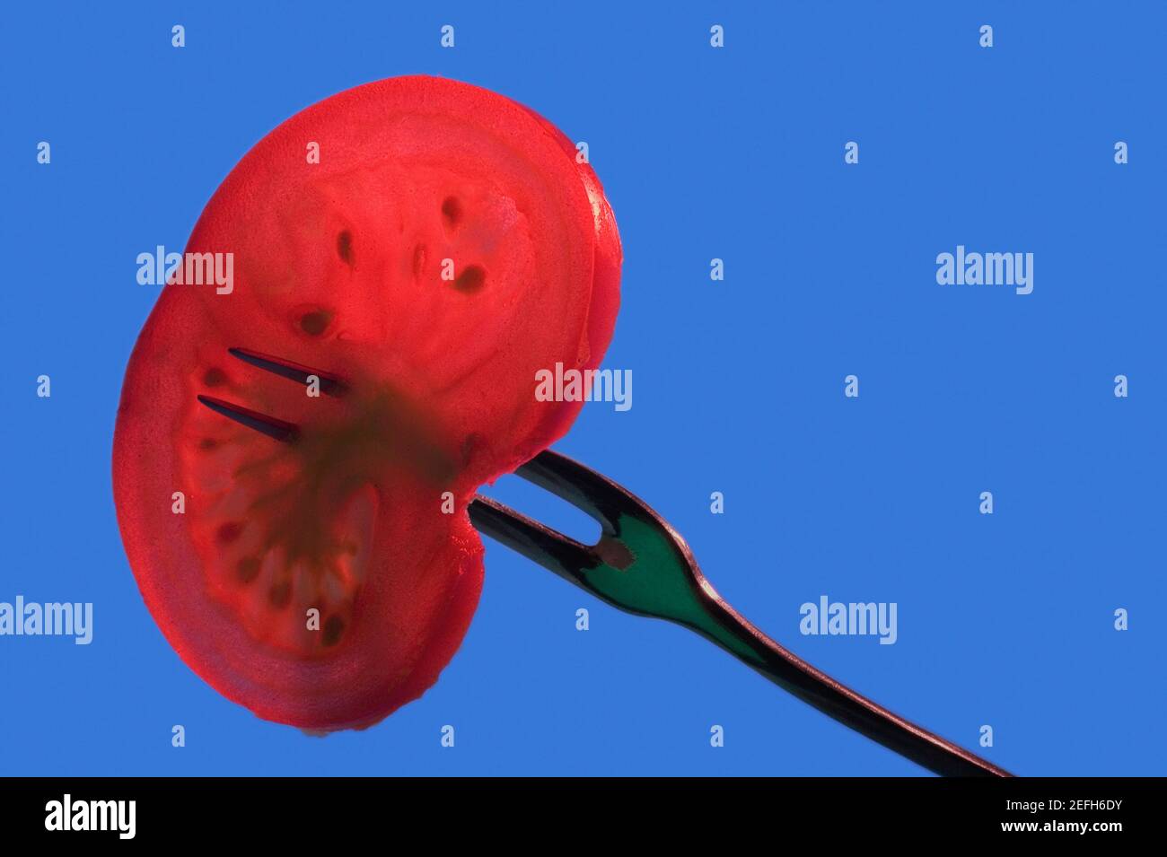 Tomato slice close up inside hi-res stock photography and images - Alamy
