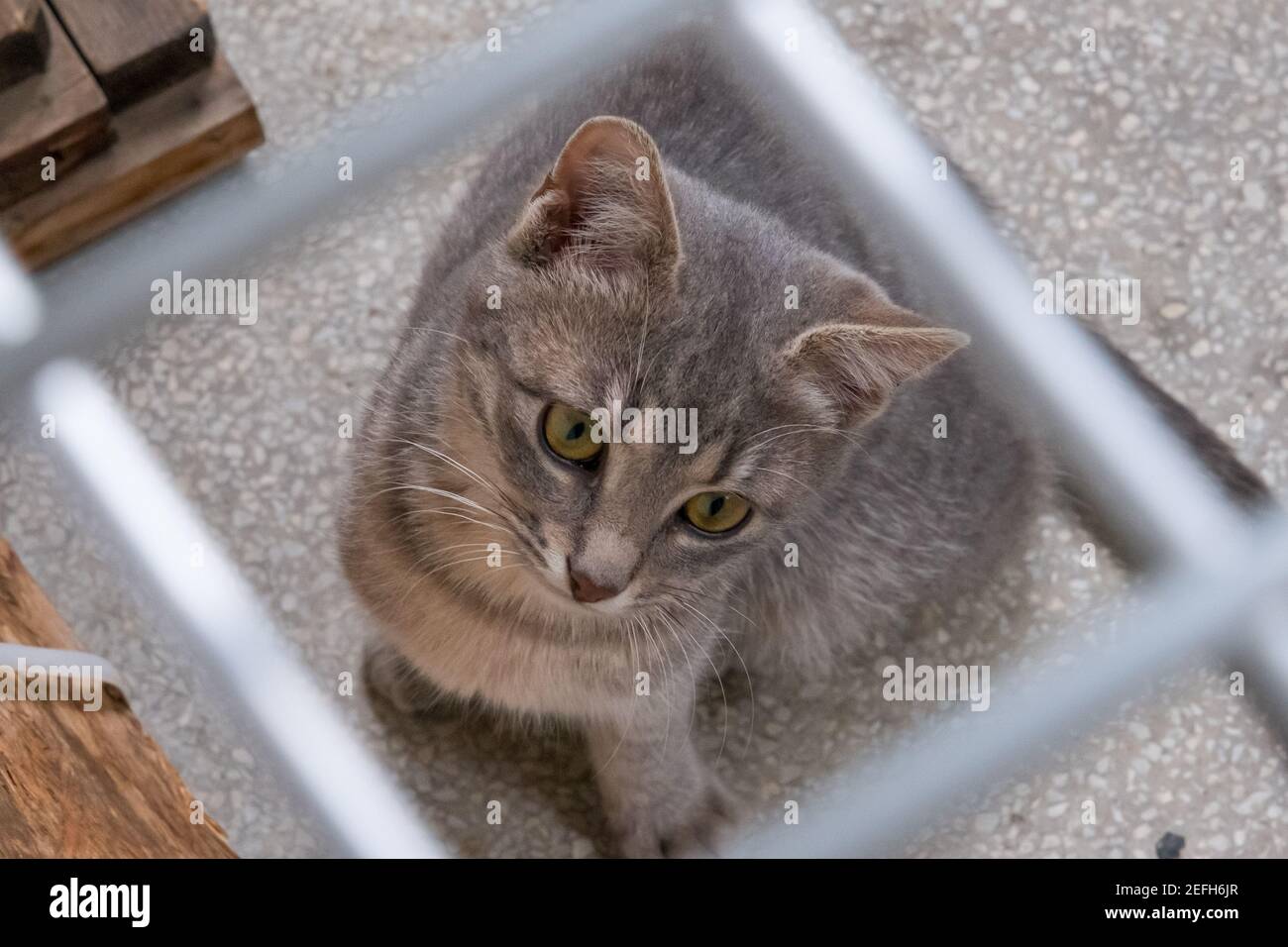Baby Behind Bars High Resolution Stock Photography and Images - Alamy