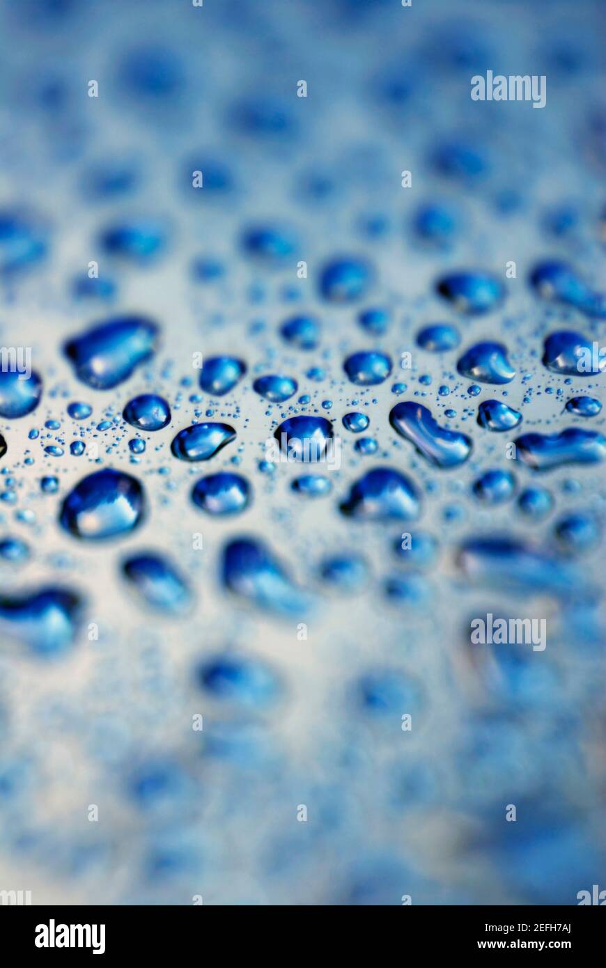 Close up of water droplets Stock Photo - Alamy