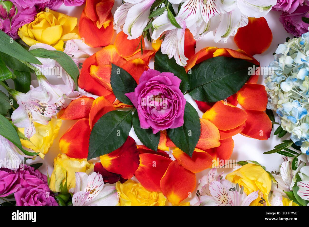 fancy flower background of roses and other vivid colors Stock Photo - Alamy