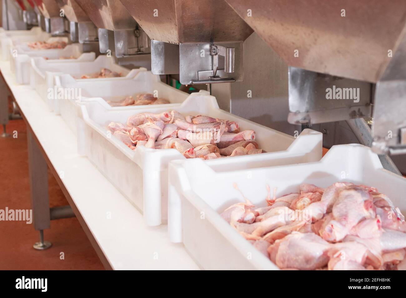 Factory for the production of food from meat.Industrial equipment at a ...