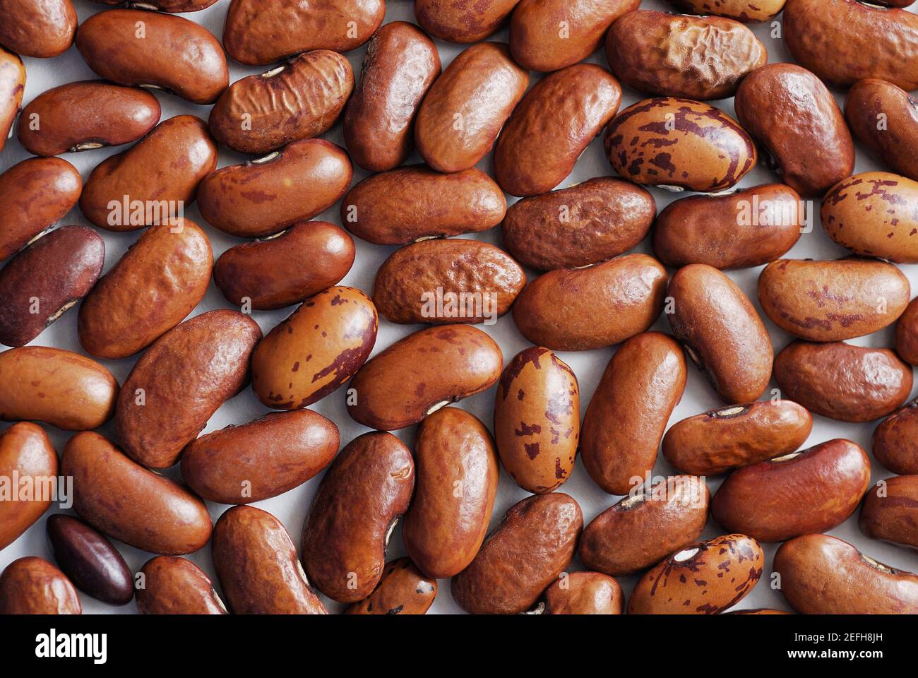 Close up of kidney beans Stock Photo - Alamy