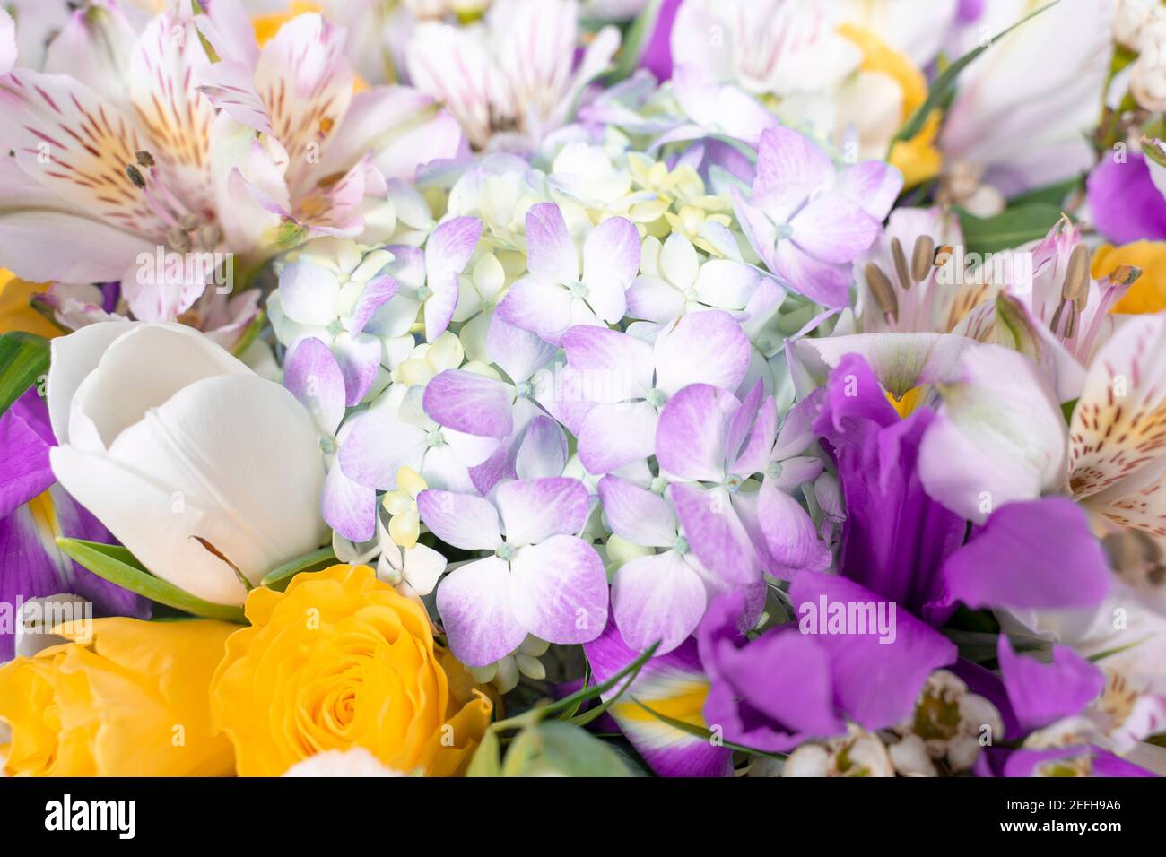 Mixed colorful flowers background. Vibrant colors of mixed flowers ...