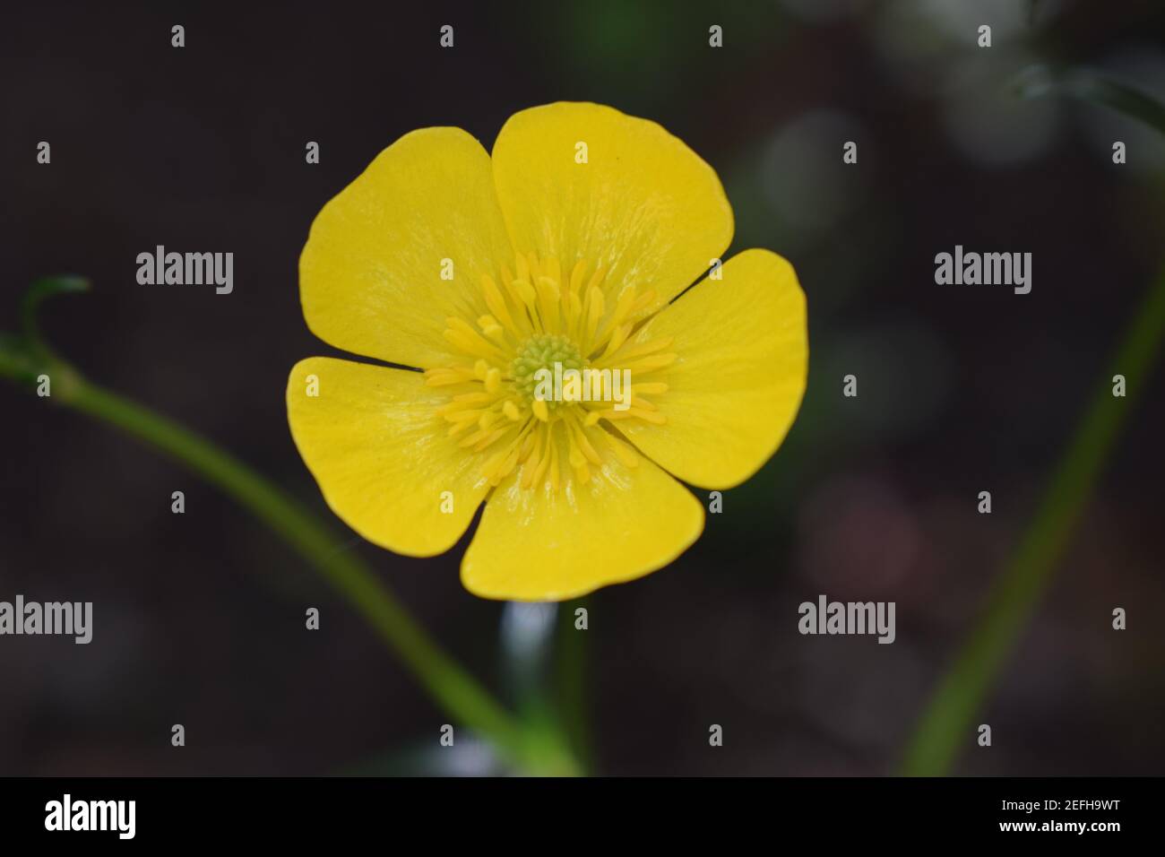 Krivoi rog plant hi-res stock photography and images - Alamy