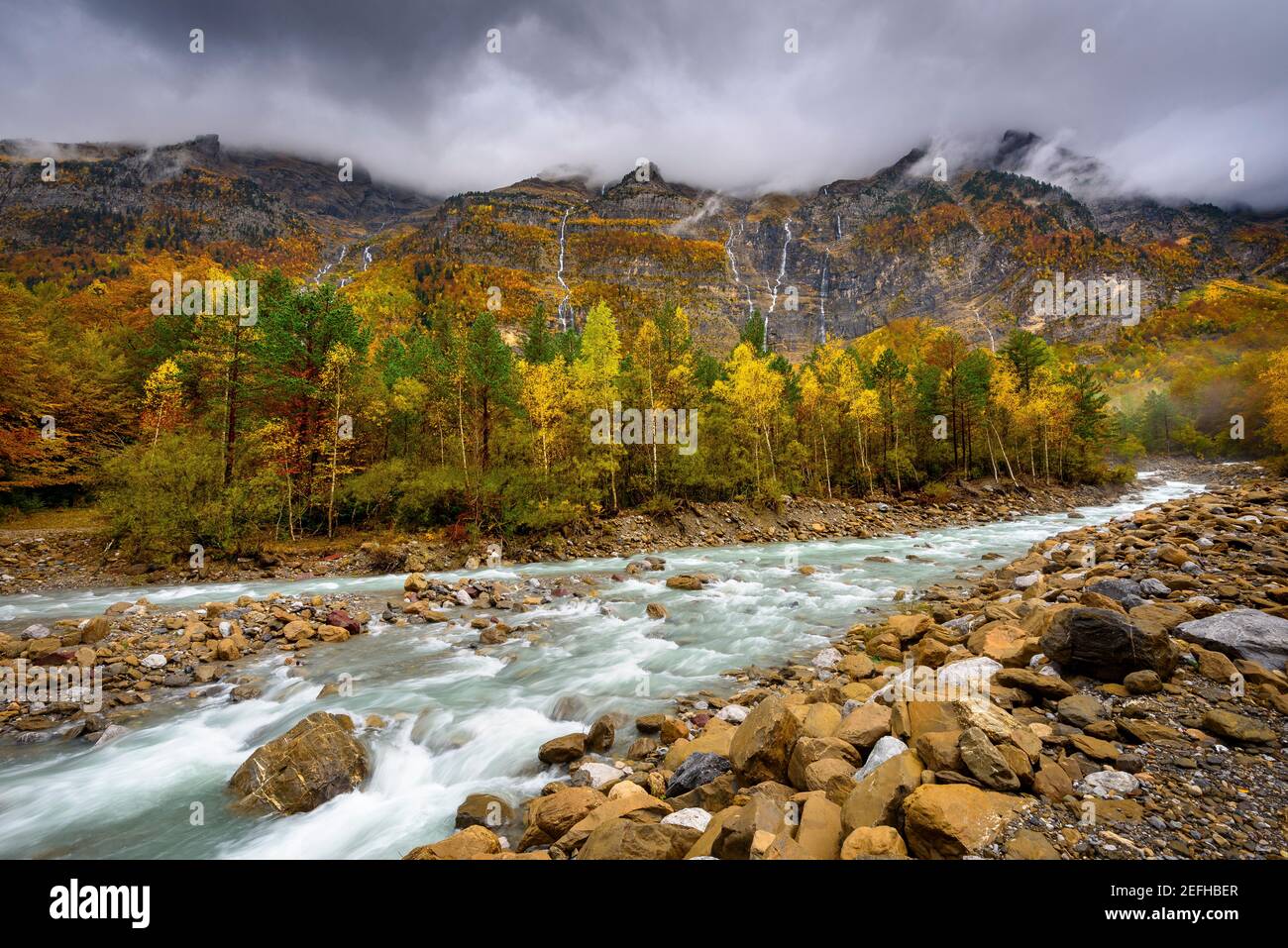 Cañon de pino hi-res stock photography and images - Alamy