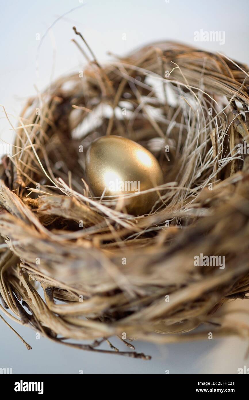 Golden egg in a nest hi-res stock photography and images - Alamy