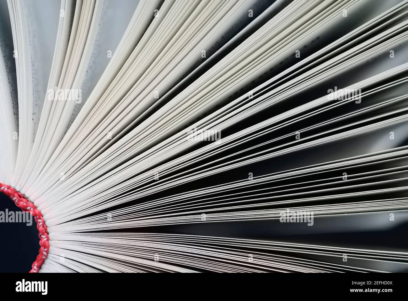 Diary interior hi-res stock photography and images - Alamy