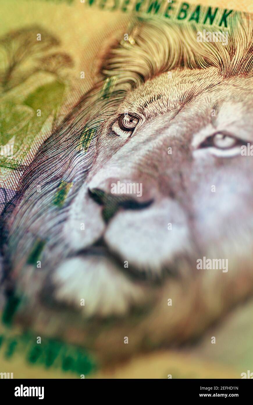 African money cash currency studio hi-res stock photography and images ...