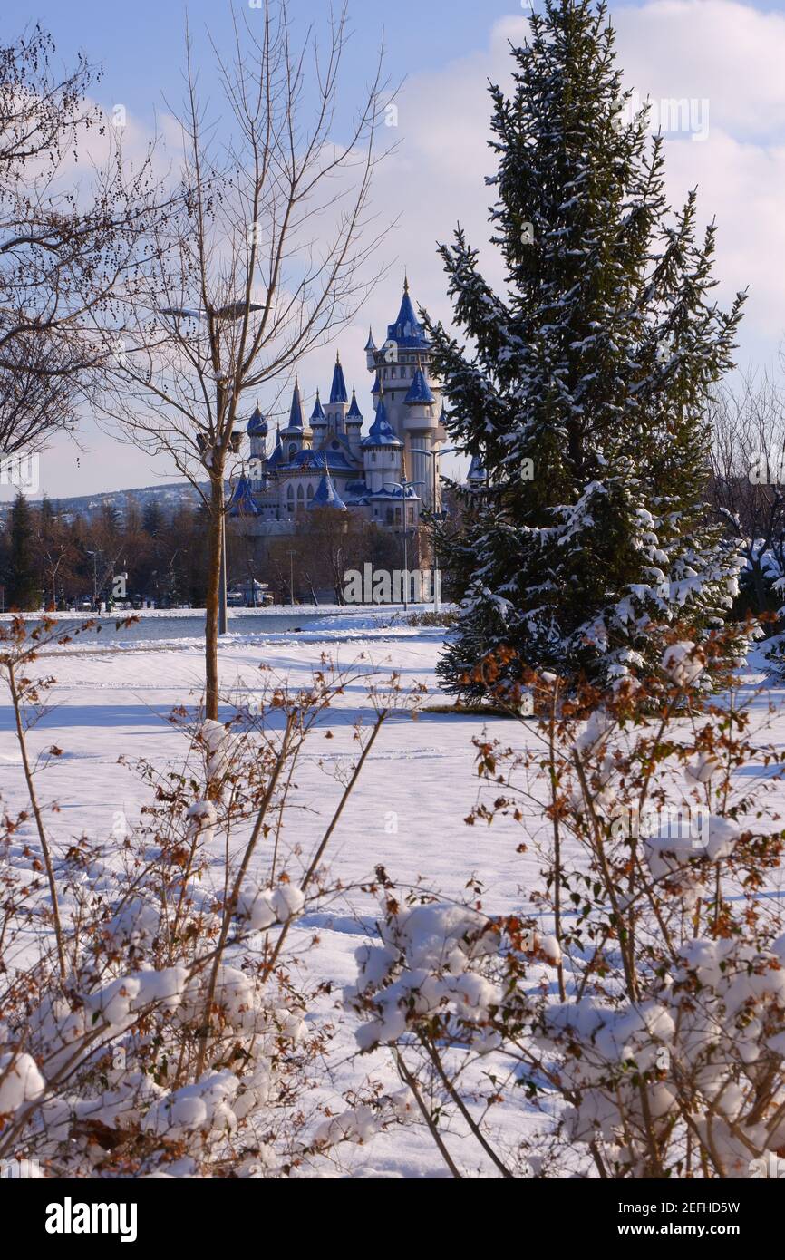 Ancient tree in winter hi-res stock photography and images - Alamy