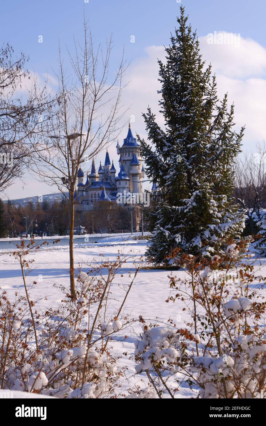 Ancient tree in winter hi-res stock photography and images - Alamy
