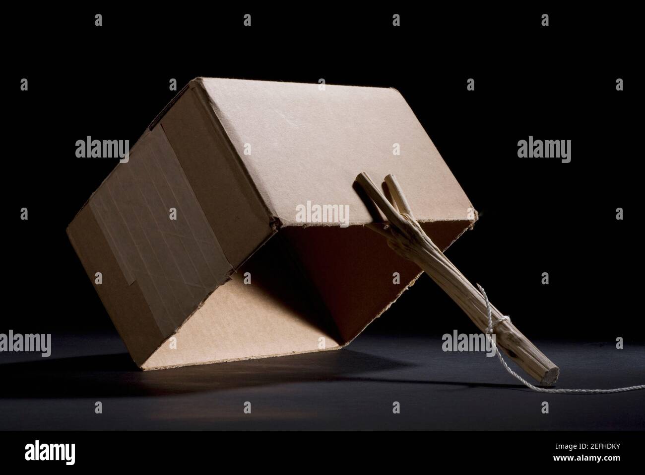 Box with stick trap hi-res stock photography and images - Alamy