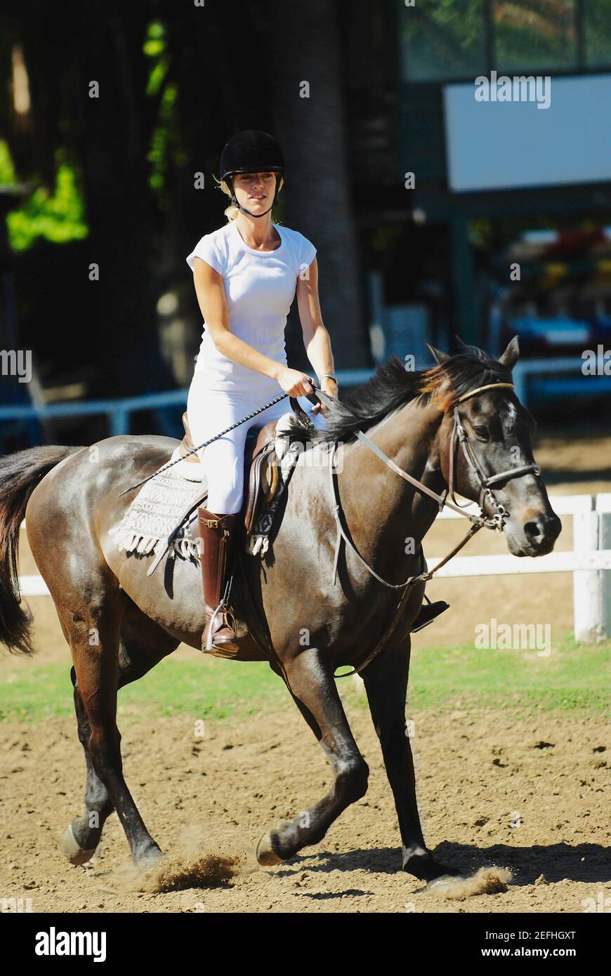 Mid adult woman horseback riding Stock Photo - Alamy