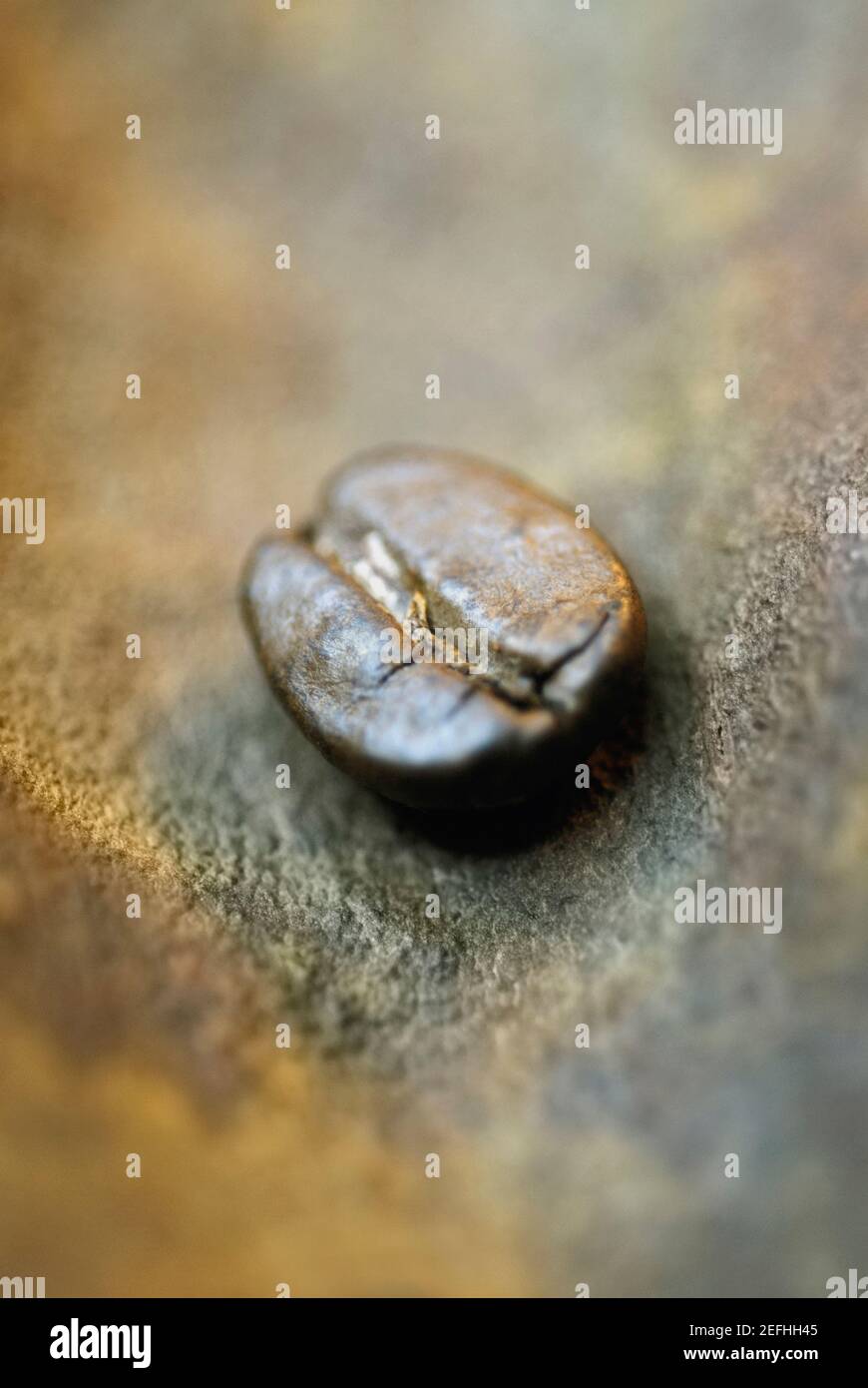 Inside of coffee bean hi-res stock photography and images - Alamy