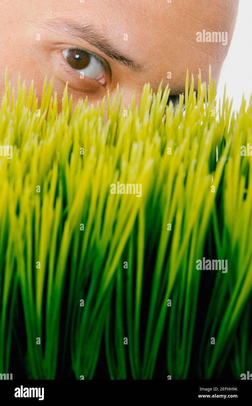 Peeking over grass hi-res stock photography and images - Alamy