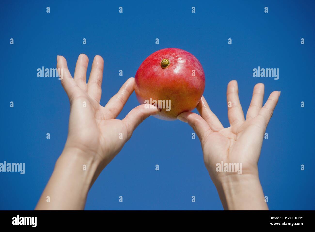 Human hand holding apple close up hi-res stock photography and images ...