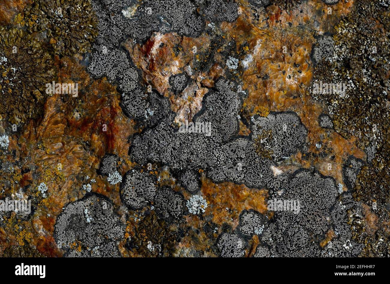 Floating dirt hi-res stock photography and images - Alamy