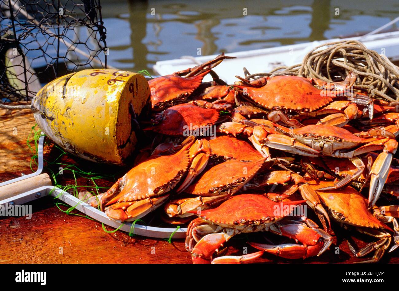 Maryland crab fishing hi-res stock photography and images - Alamy