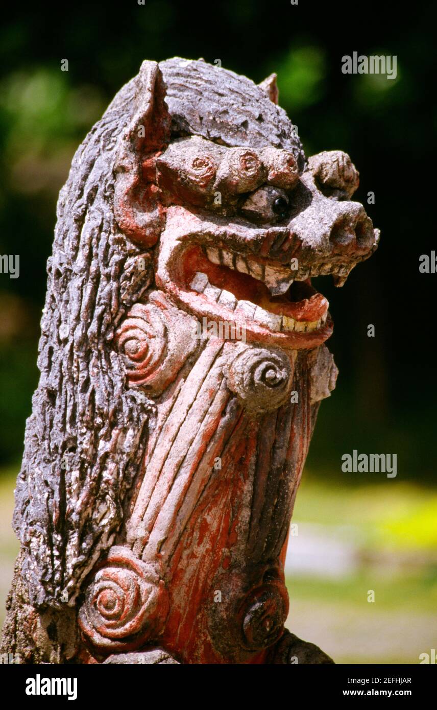 Ishigaki okinawa hi-res stock photography and images - Alamy