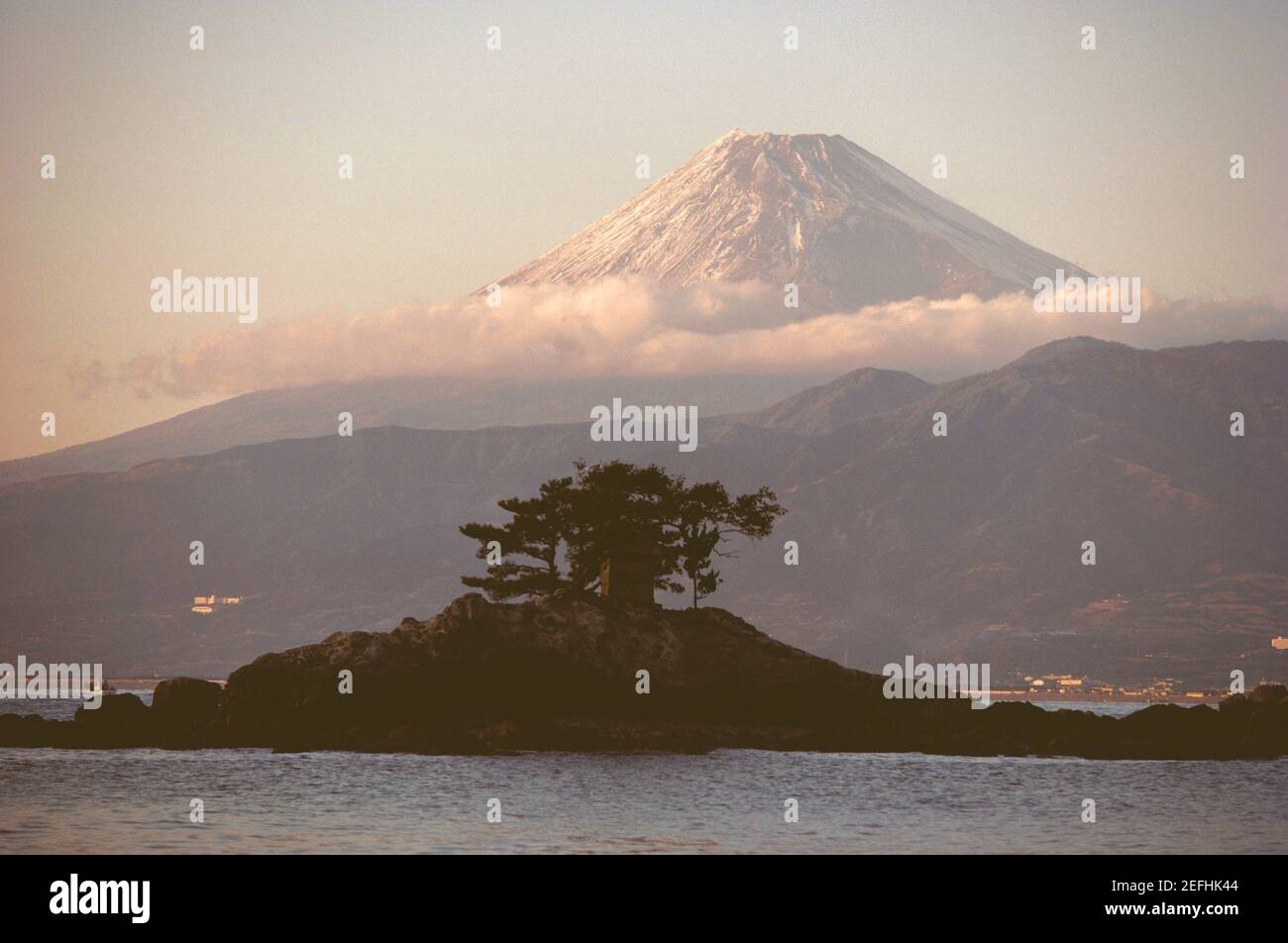 Tree on an island with a mountain in the background, Mt Fuji, Suruga ...