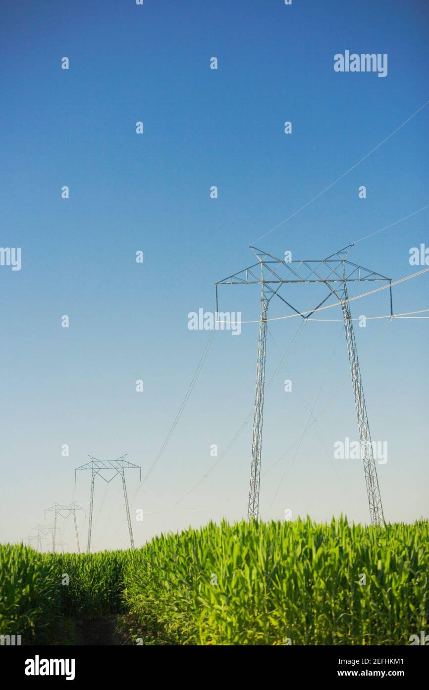 Low angle view of an electricity pylon in a farm Stock Photo - Alamy