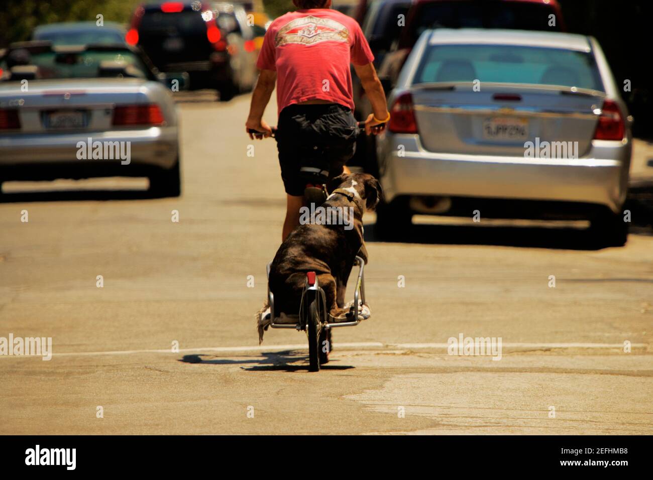 Back of a bike hi-res stock photography and images - Alamy