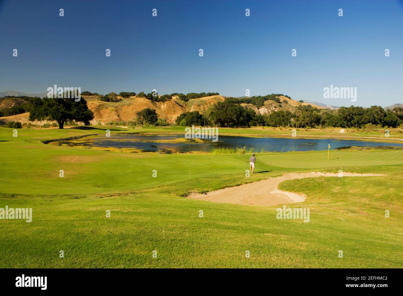 Lush green golf course clear hi-res stock photography and images - Alamy