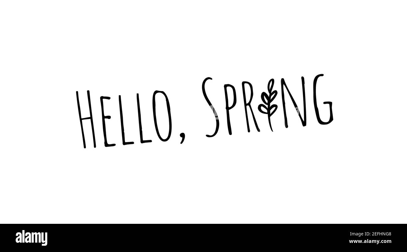 Hello Spring text calligraphy banner on white isolated background Stock ...