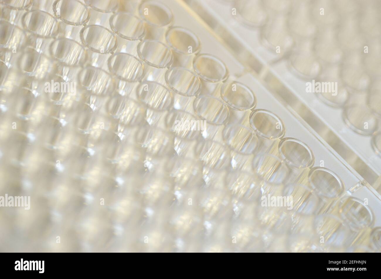 High angle view of an array of test tubes in a test tube rack Stock ...